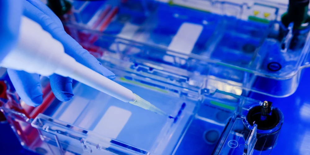 Advances in Cell Sorting Technologies Revolutionize Scientific Research ...